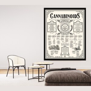 48 X 60 Inch 'cannabinoids' Cannabis Education Poster - Etsy