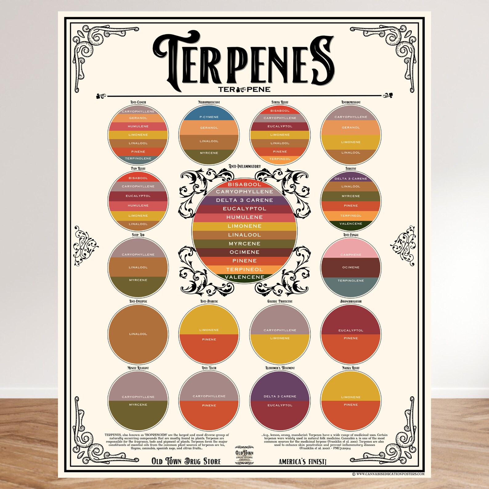 18 X 24 Inch Terpenes Cannabis Education Poster - Etsy