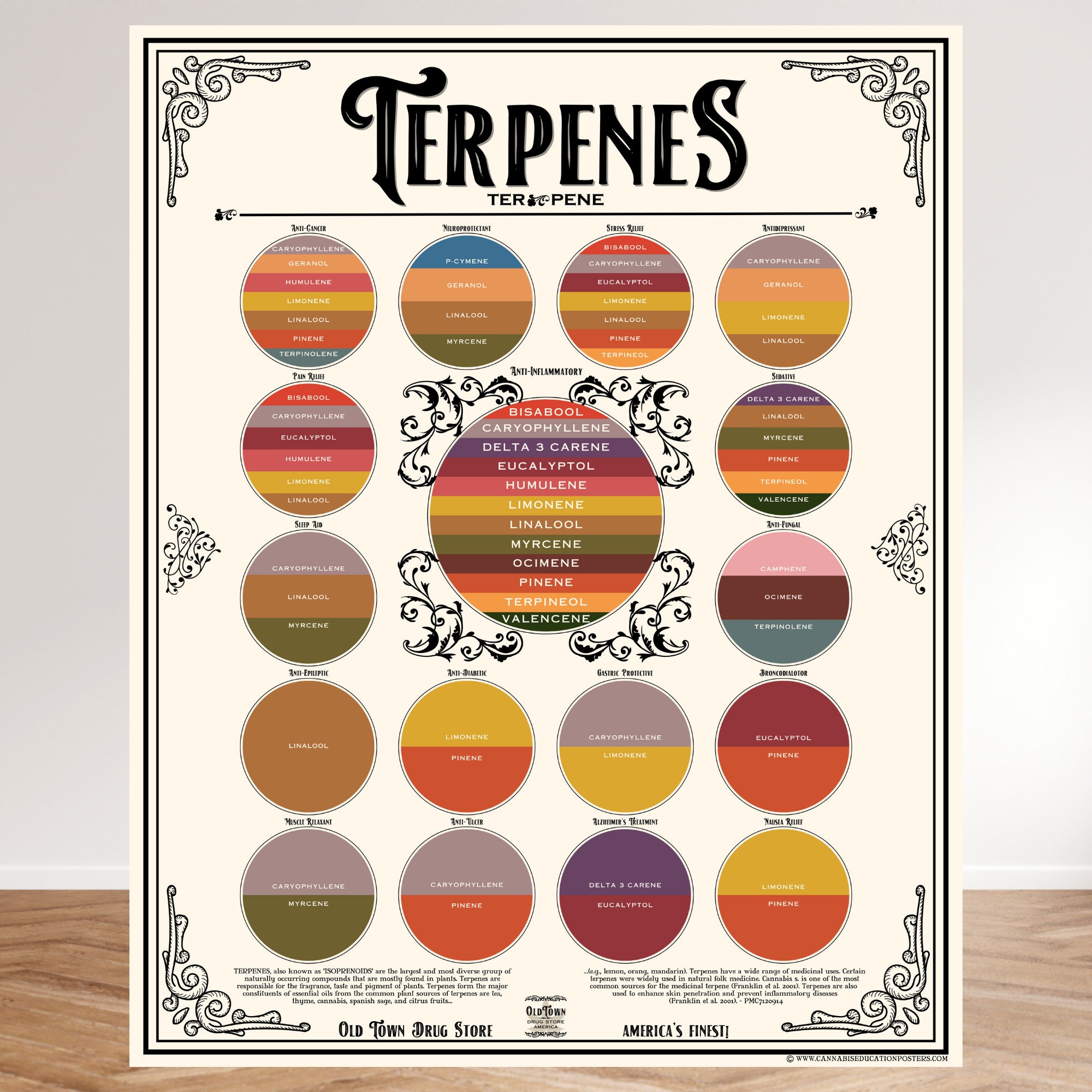 18 X 24 Inch Terpenes Cannabis Education Poster - Etsy