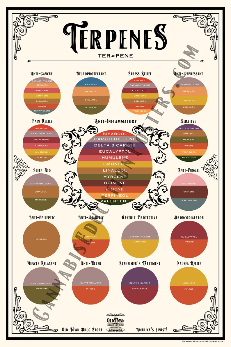 18 X 24 Inch Set of 3 Cannabis Education Posters | Etsy