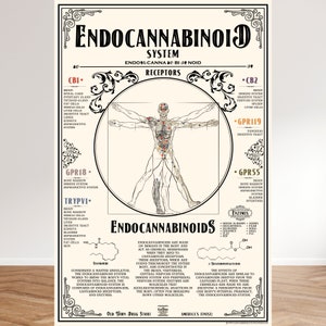 24 X 36 Inch Set of 3 Cannabis Education Posters Cannabinoids Terpenes ...