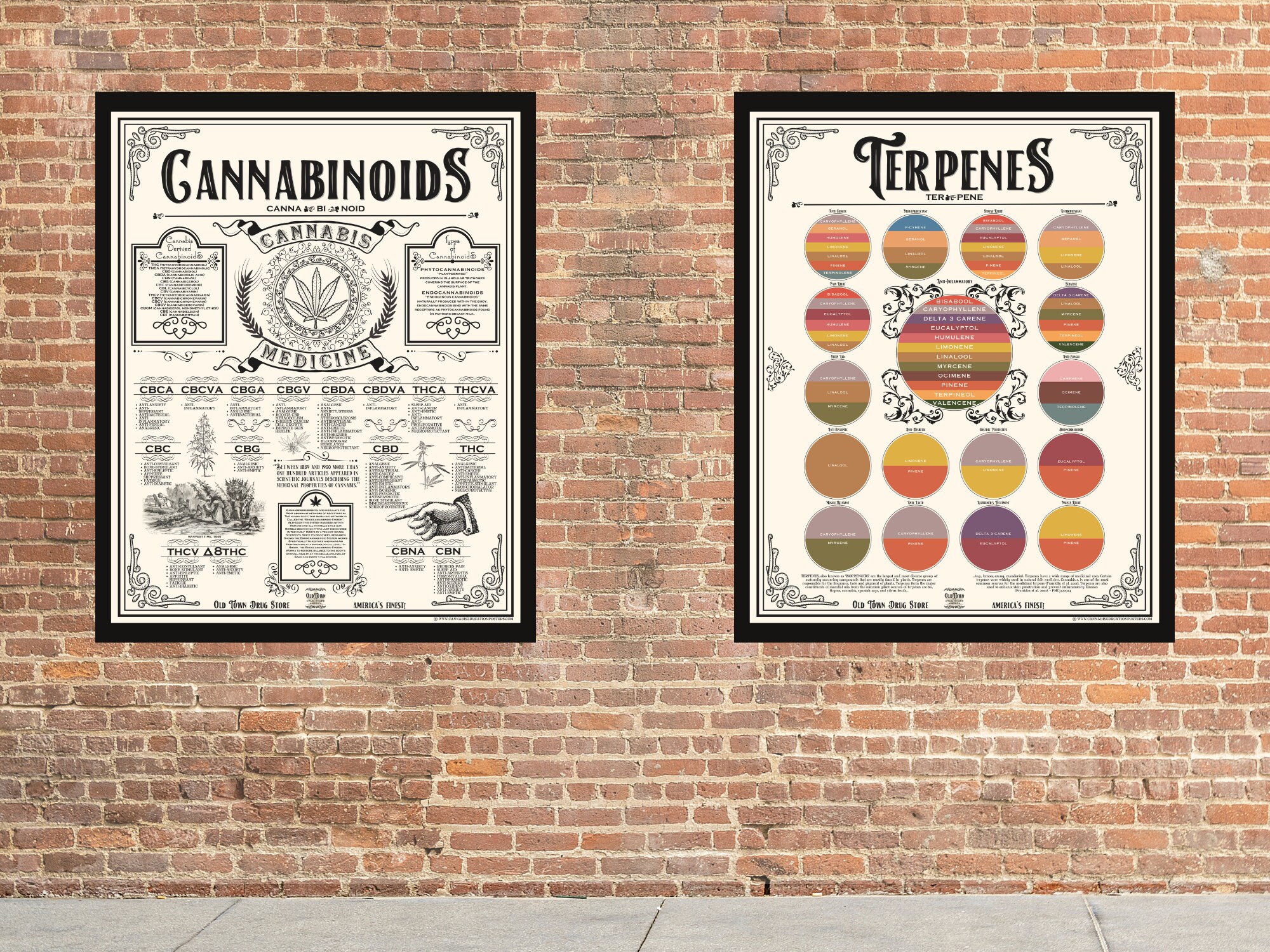 48 X 60 Inch 'cannabinoids' Cannabis Education Poster - Etsy