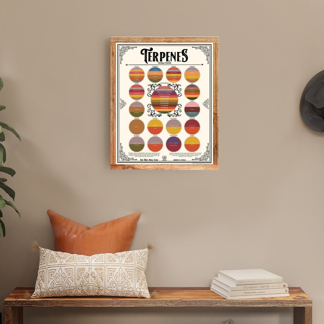 9 X 12 Inch Terpenes Cannabis Education Poster - Etsy