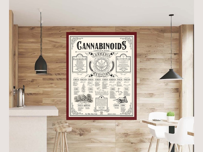 48 X 60 Inch 'cannabinoids' Cannabis Education Poster - Etsy