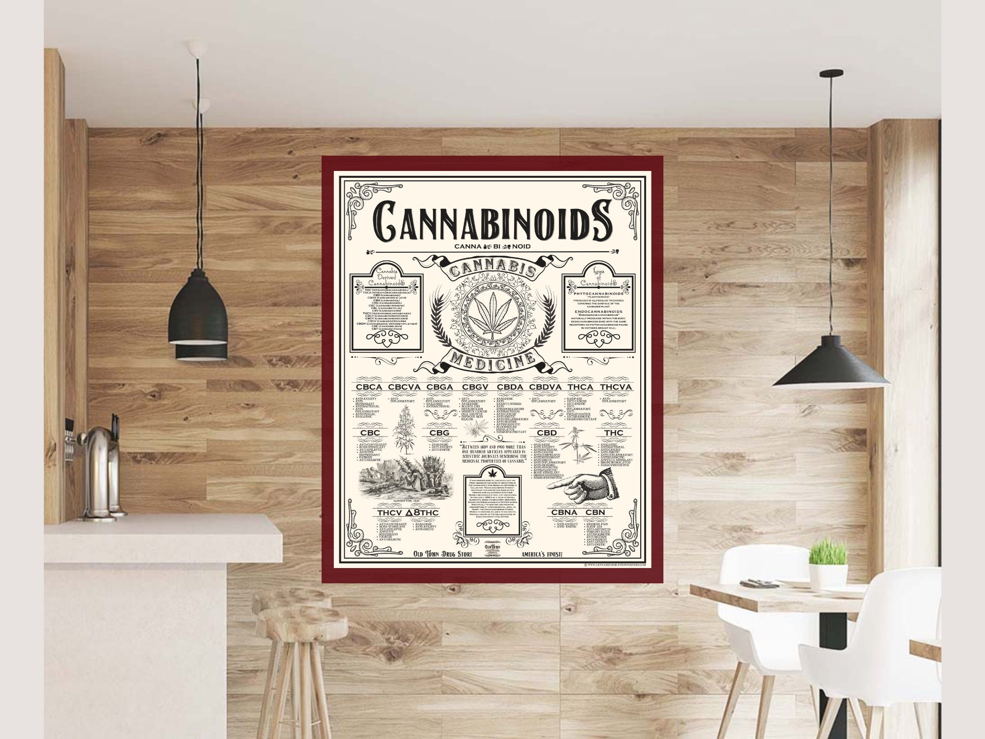 48 X 60 Inch 'cannabinoids' Cannabis Education Poster - Etsy