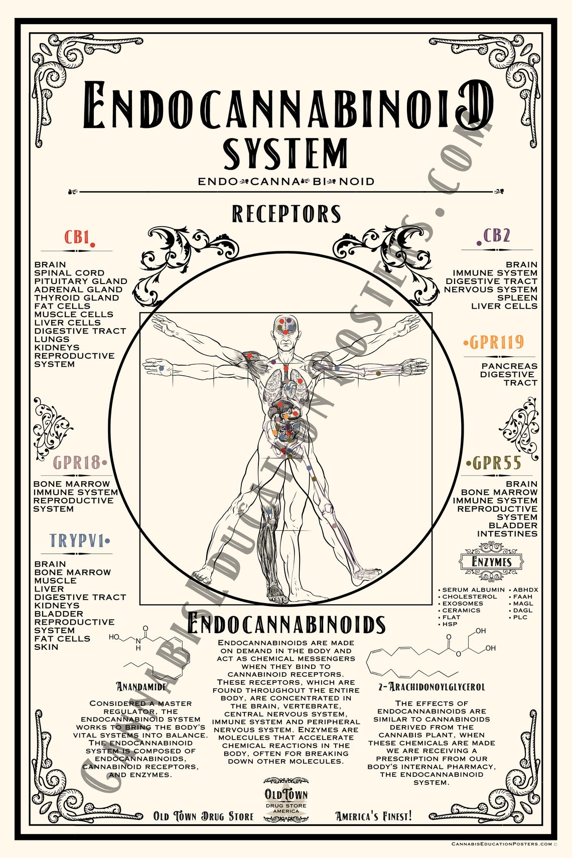 18 X 24 Inch Set of 3 Cannabis Education Posters - Etsy