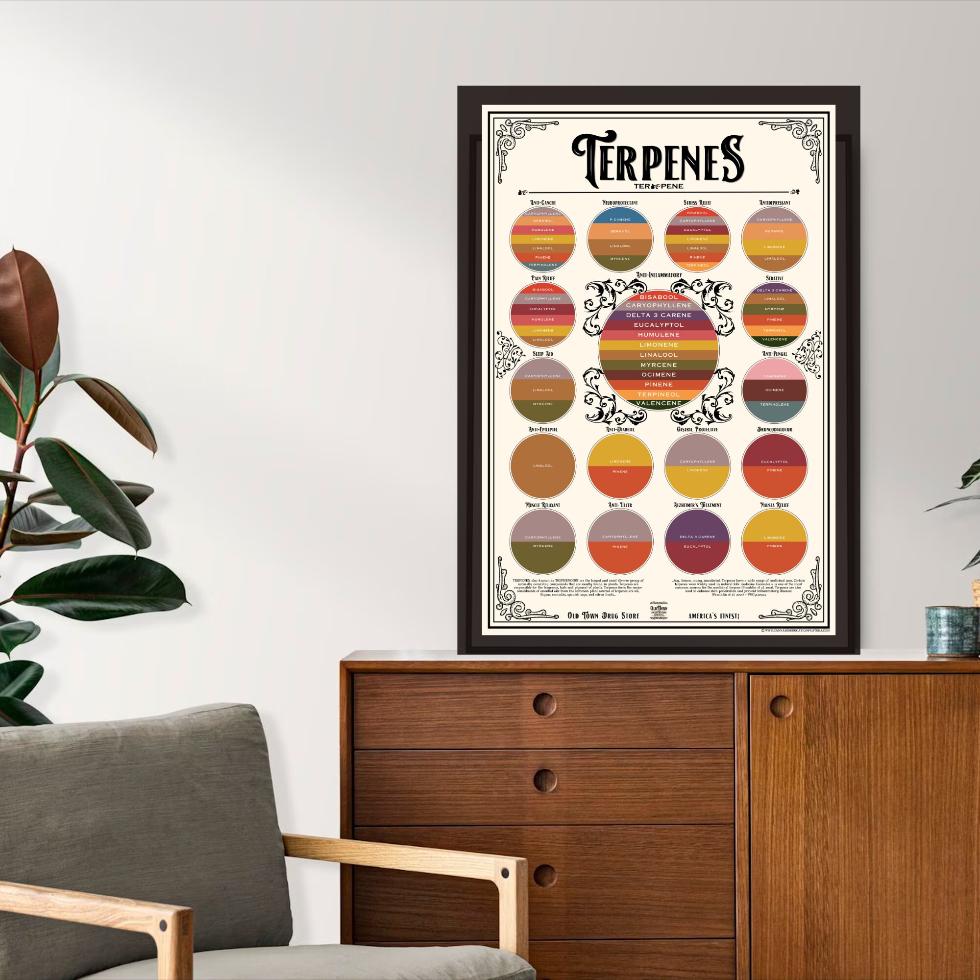24 X 36 Inch Terpenes Cannabis Education Poster - Etsy