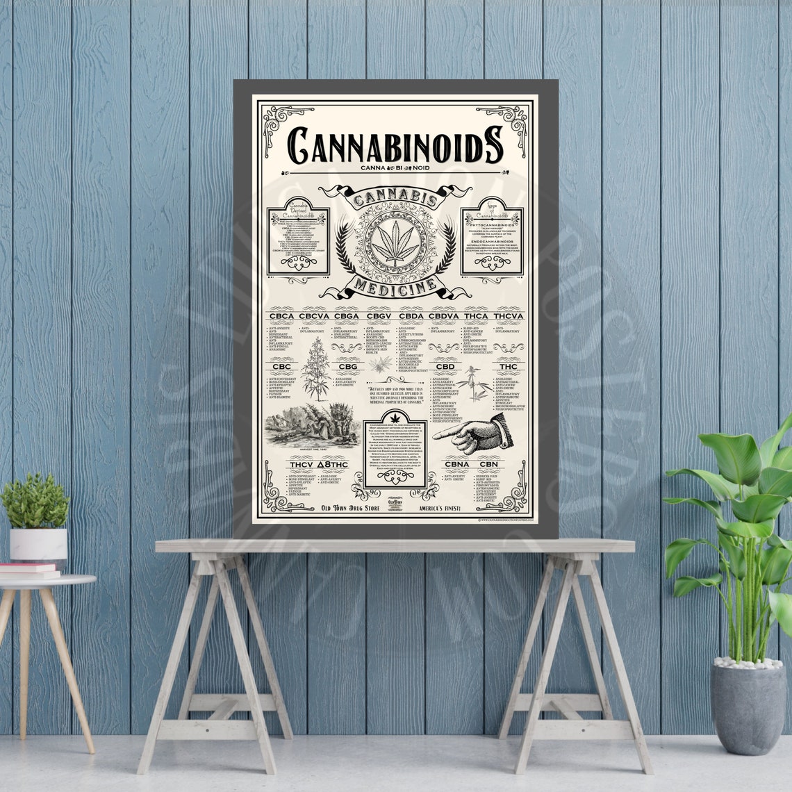 24 X 36 Inch Cannabinoids Cannabis Education Poster - Etsy