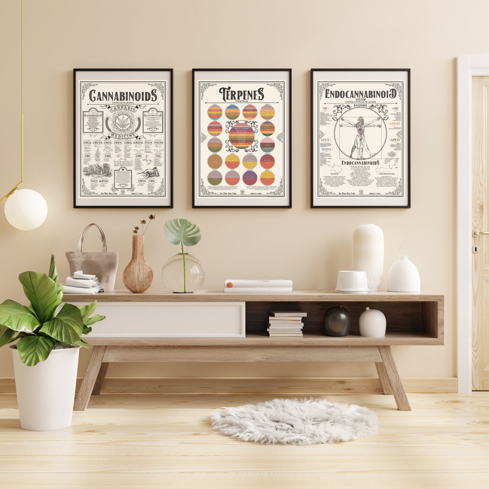 18 X 24 Inch Cannabinoids Cannabis Education Poster - Etsy