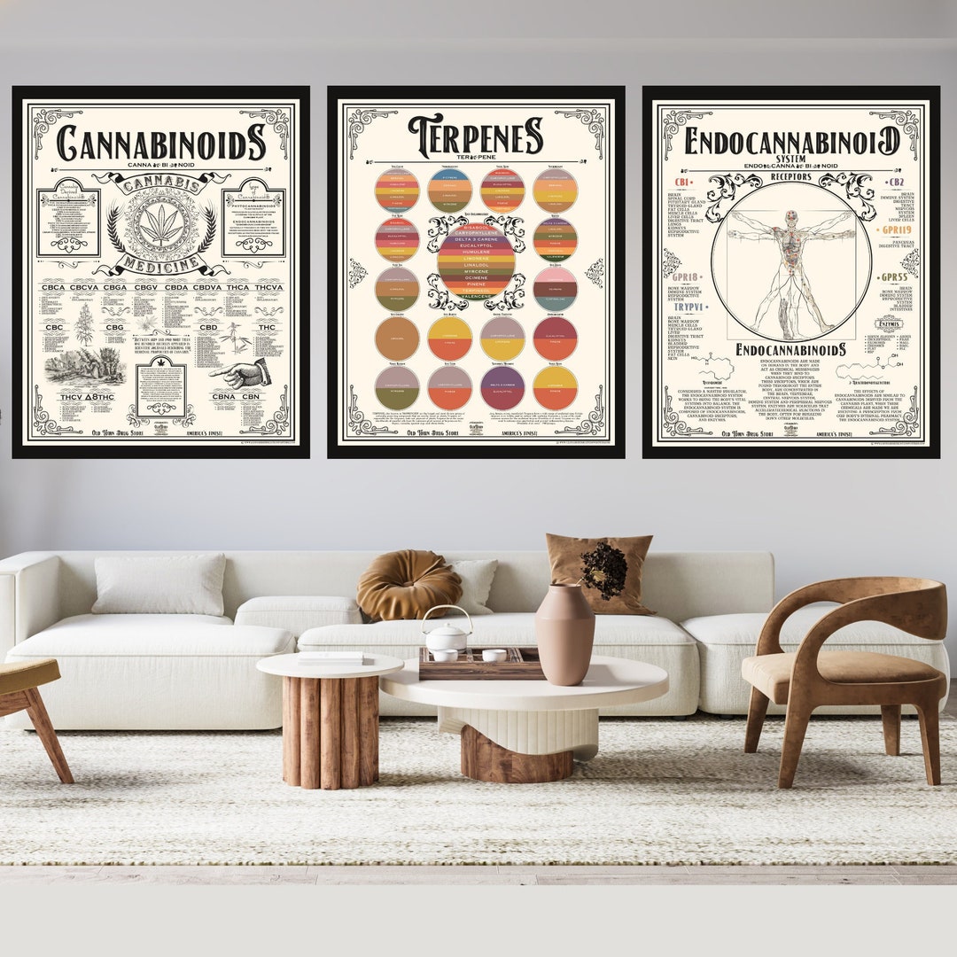 48 X 60 Inch Set of 3 Cannabis Education Posters Cannabinoids Terpenes ...