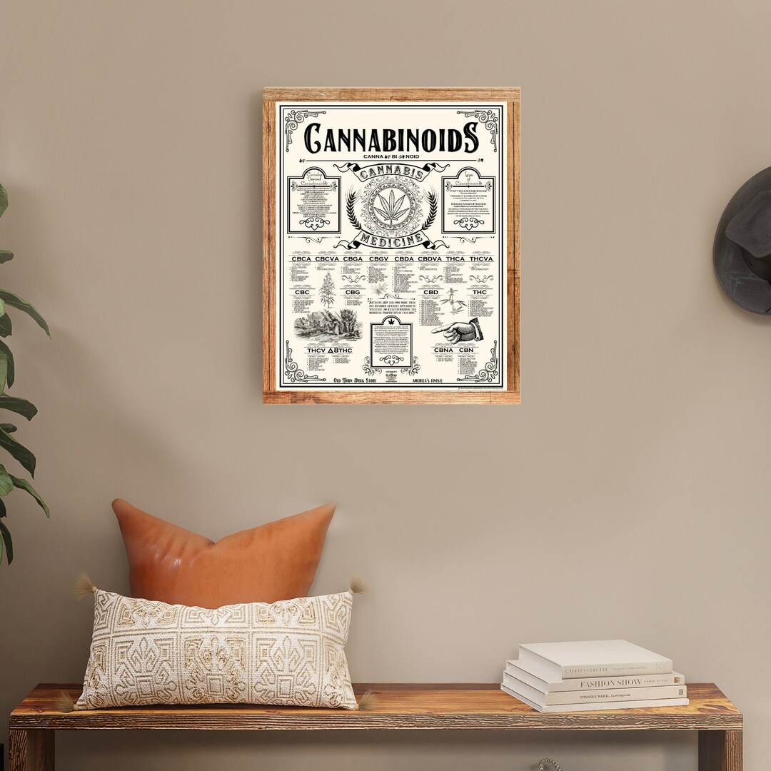 9 X 12 Inch Cannabinoids Cannabis Education Poster - Etsy