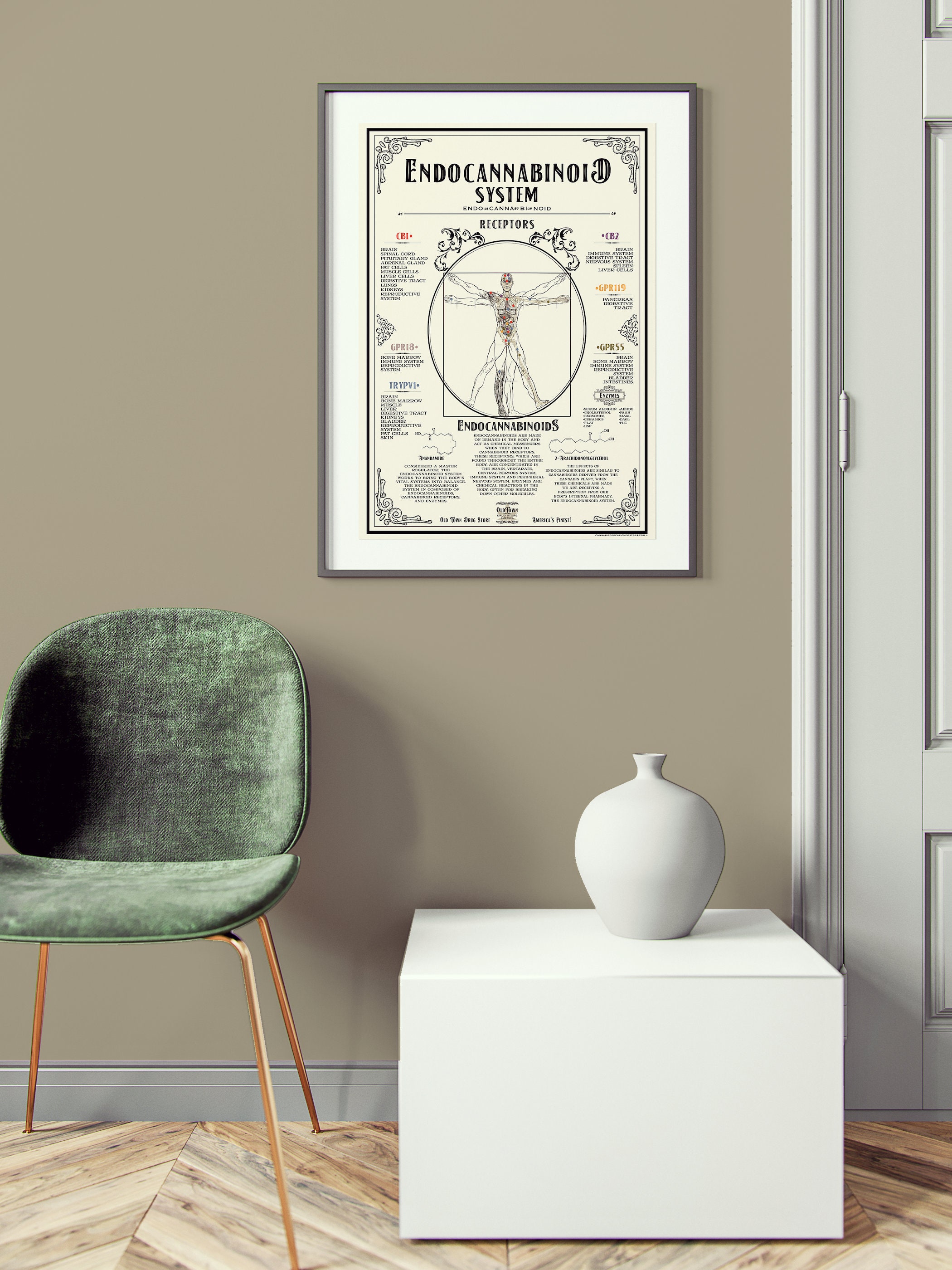 24 X 36 Inch Set of 3 Cannabis Education Posters - Etsy