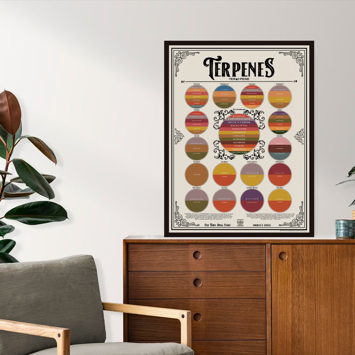 18 X 24 Inch Terpenes Cannabis Education Poster - Etsy