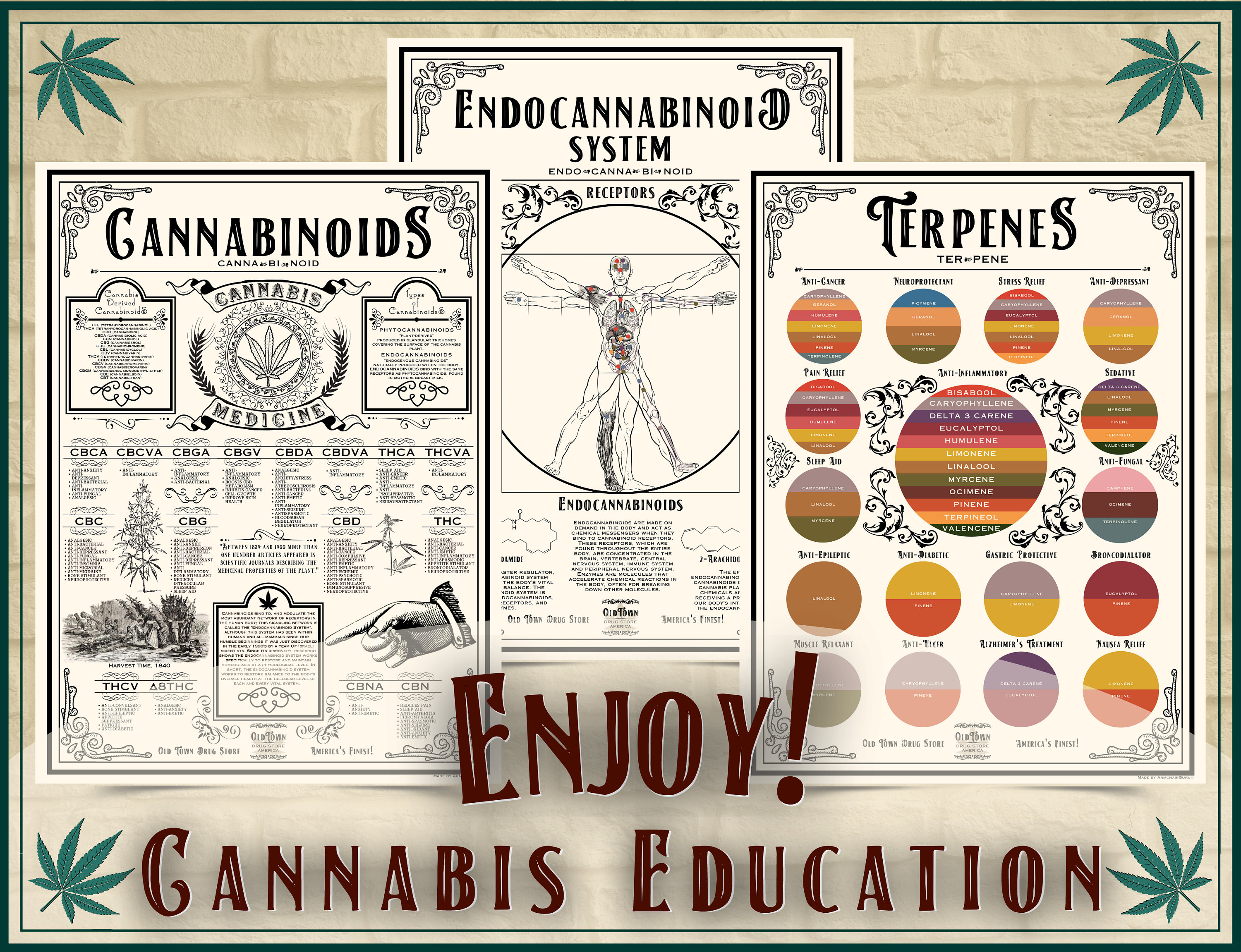 18 X 24 inch Set of 3 Cannabis Education Posters | Etsy