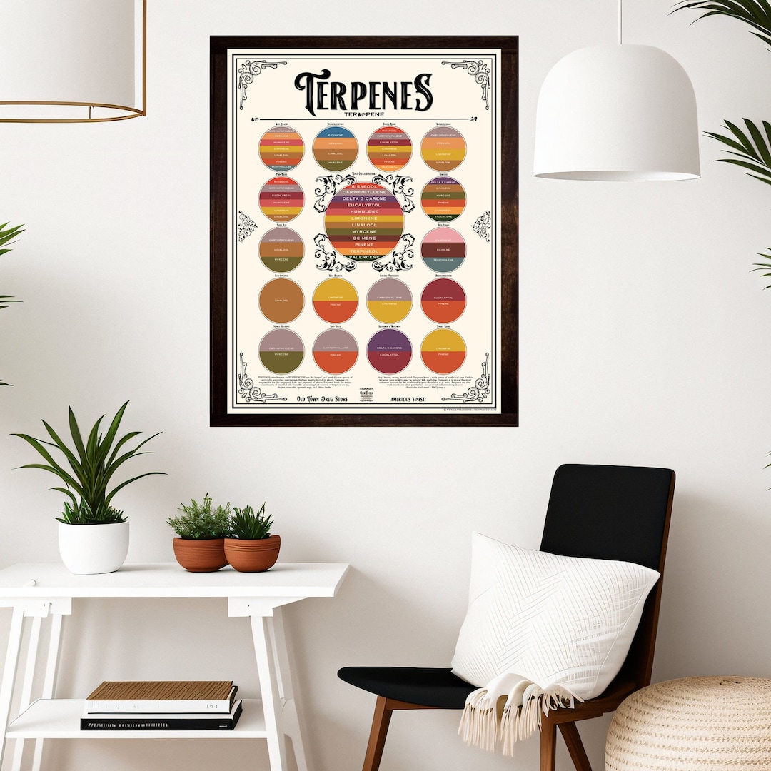 18 X 24 Inch Terpenes Cannabis Education Poster - Etsy