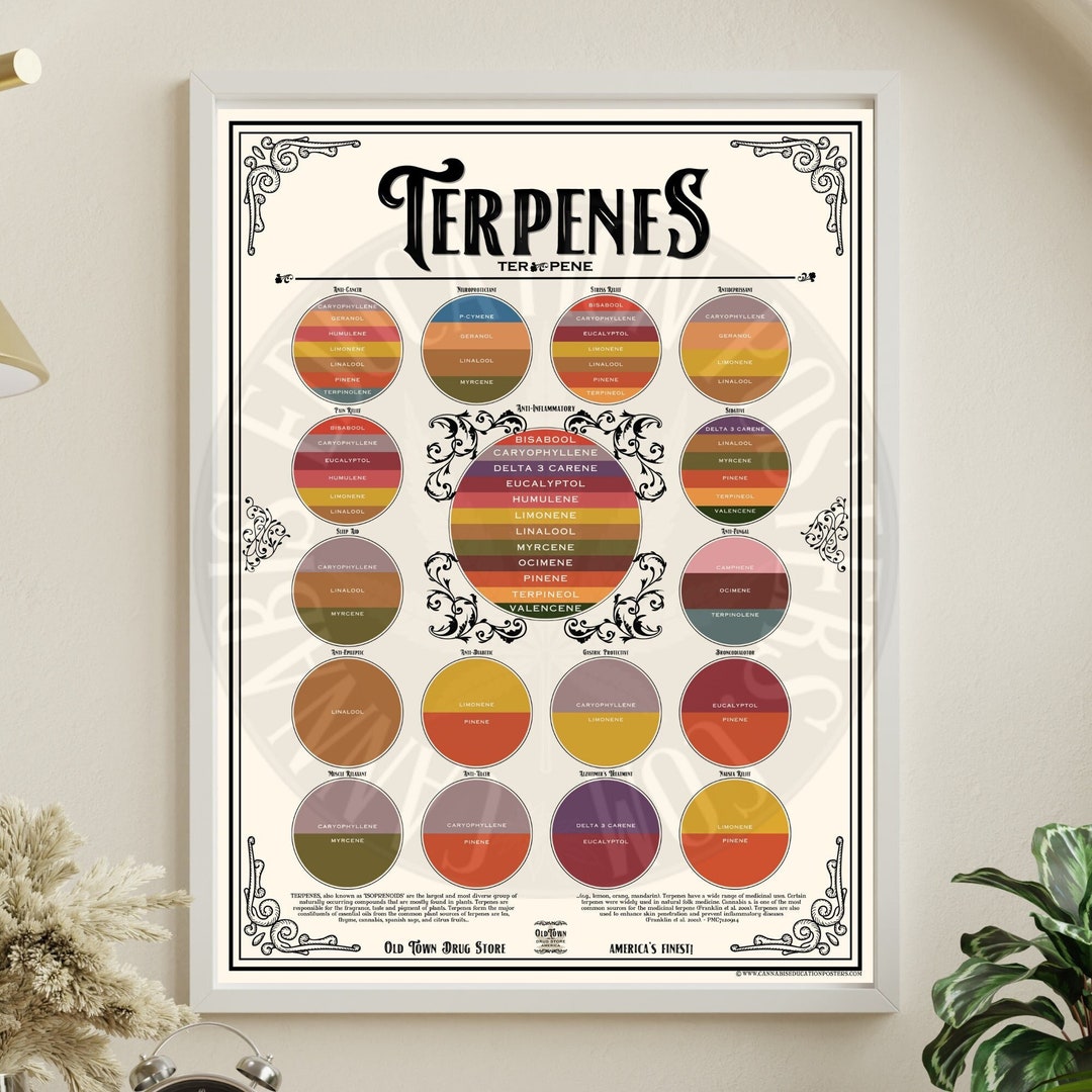 18 X 24 Inch Terpenes Cannabis Education Poster - Etsy