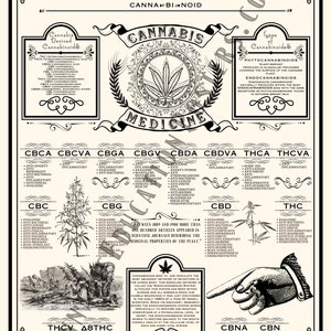 18 X 24 Inch Set of 3 Cannabis Education Posters | Etsy
