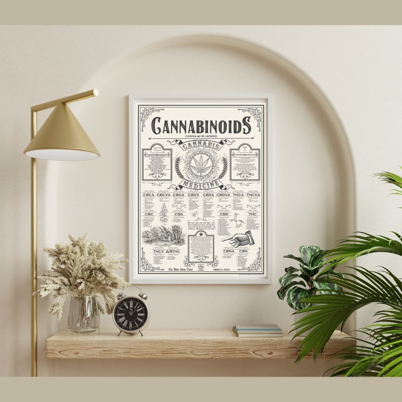 18 X 24 Inch Cannabinoids Cannabis Education Poster - Etsy Canada