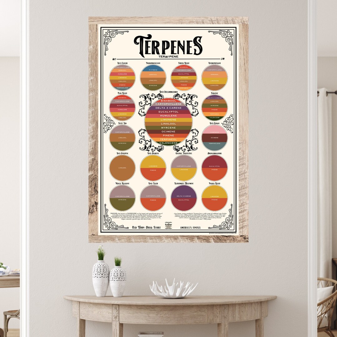 24 X 36 Inch Terpenes Cannabis Education Poster - Etsy