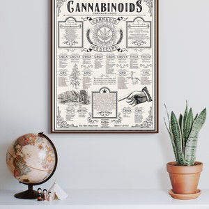 18 X 24 Inch Cannabinoids Cannabis Education Poster - Etsy