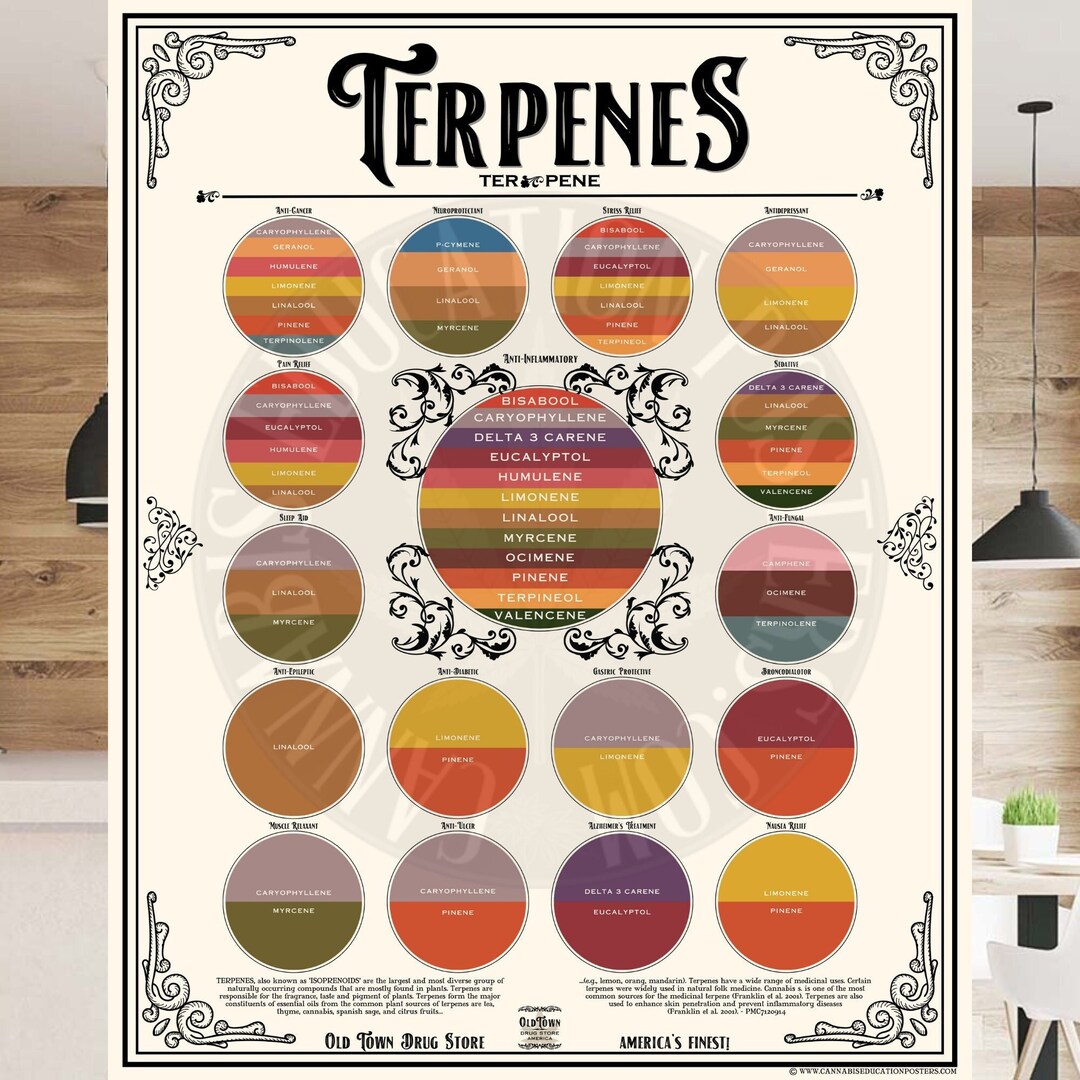 48 X 60 Inch 'terpenes' Cannabis Education Poster - Etsy