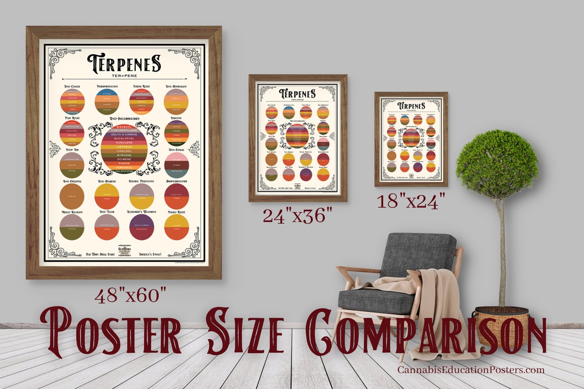 18 X 24 Inch Set of 3 Cannabis Education Posters | Etsy