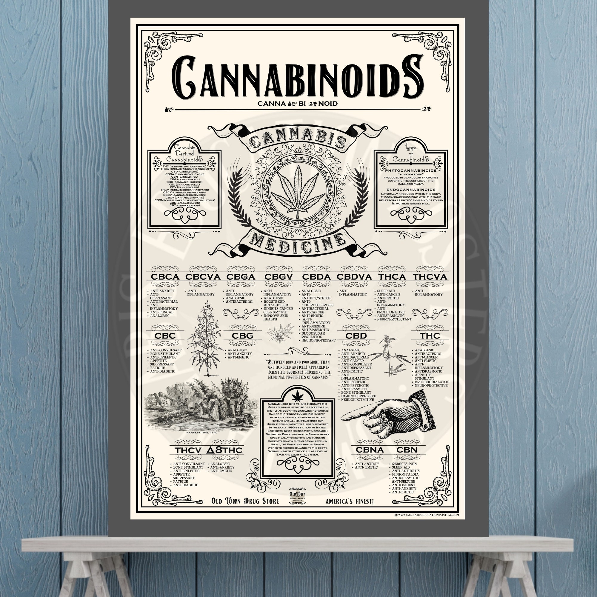 24 X 36 Inch Set of 3 Cannabis Education Posters - Etsy