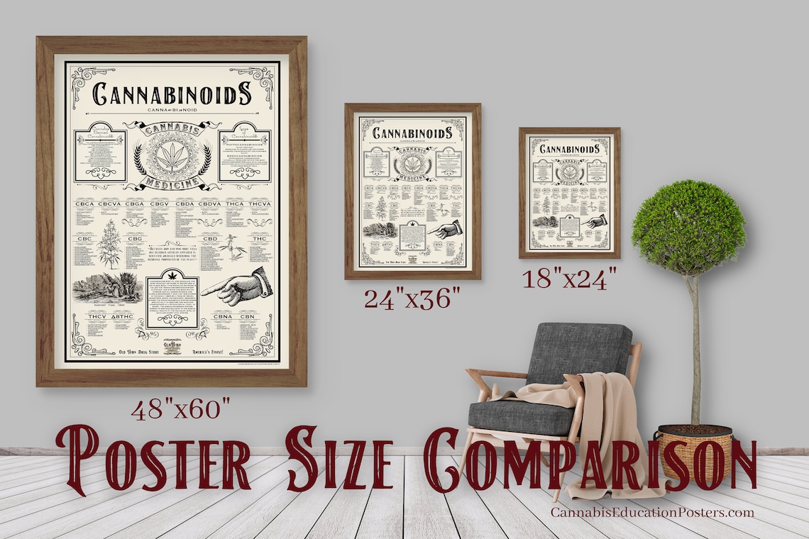 18 X 24 Inch Cannabinoids Cannabis Education Poster - Etsy