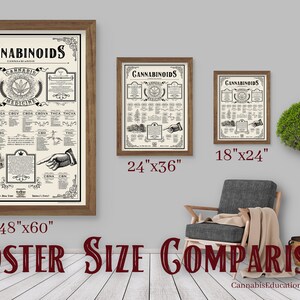 18 X 24 Inch Cannabinoids Cannabis Education Poster - Etsy