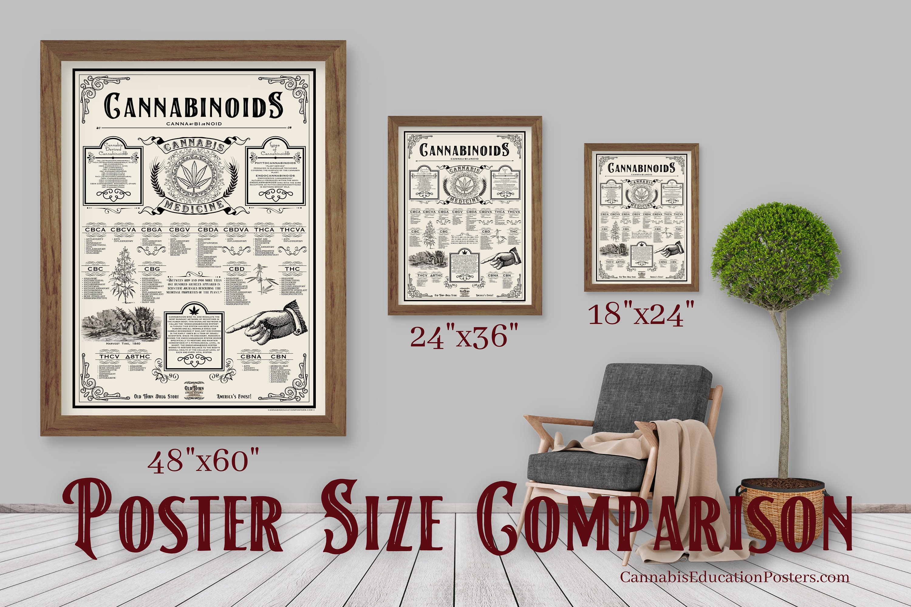 18 X 24 Inch Cannabinoids Cannabis Education Poster - Etsy Canada