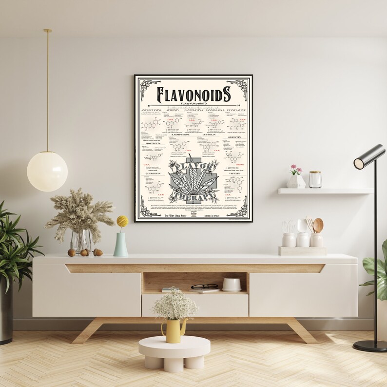 18 X 24 Inch Flavonoids Cannabis Education Poster - Etsy