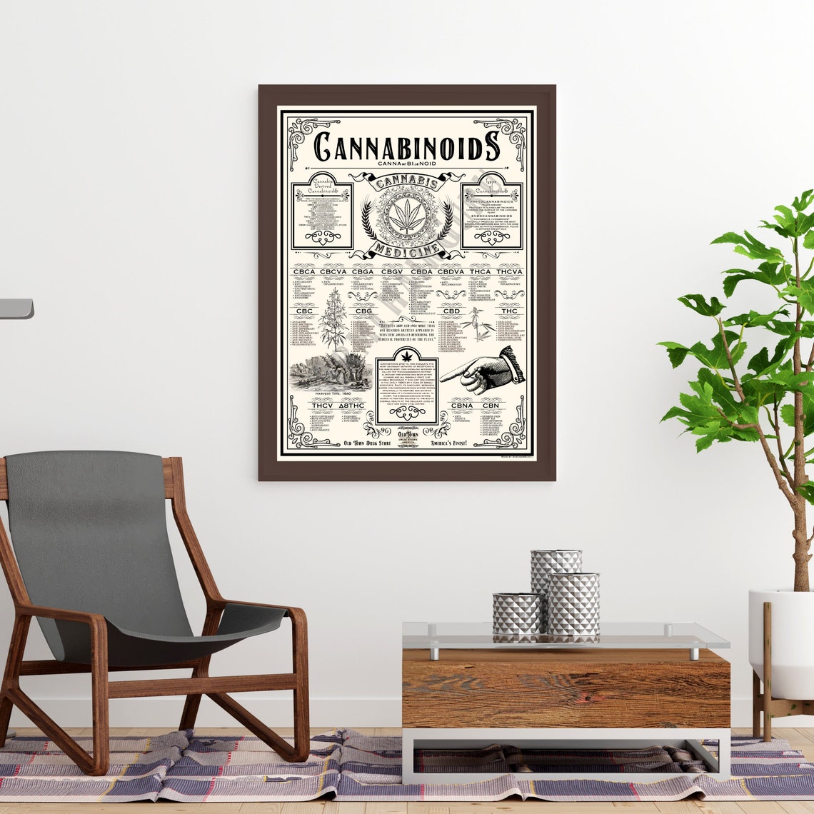 18 X 24 inch Cannabinoids Cannabis Education Poster | Etsy