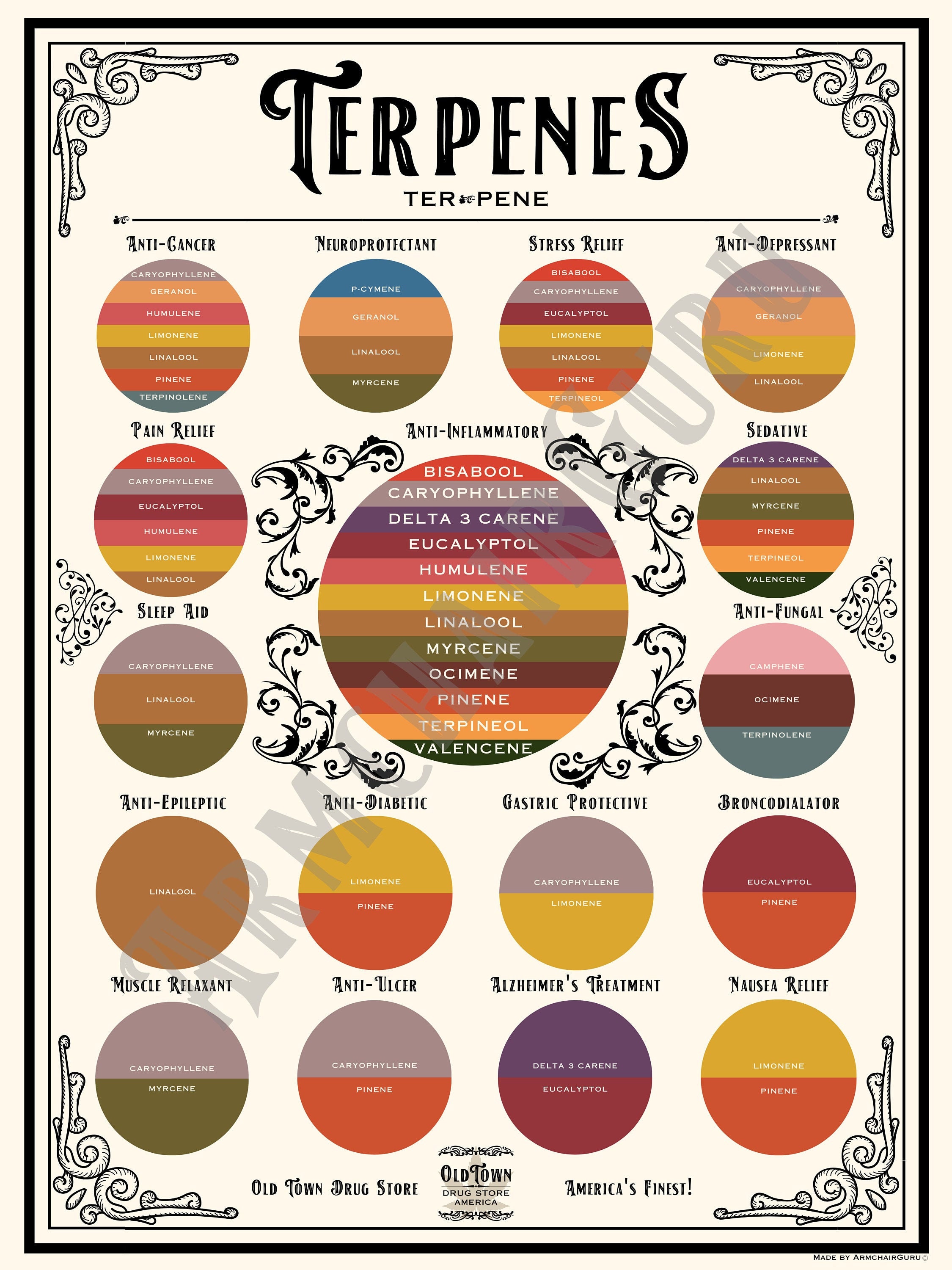 18 X 24 inch Terpenes Cannabis Education Poster | Etsy