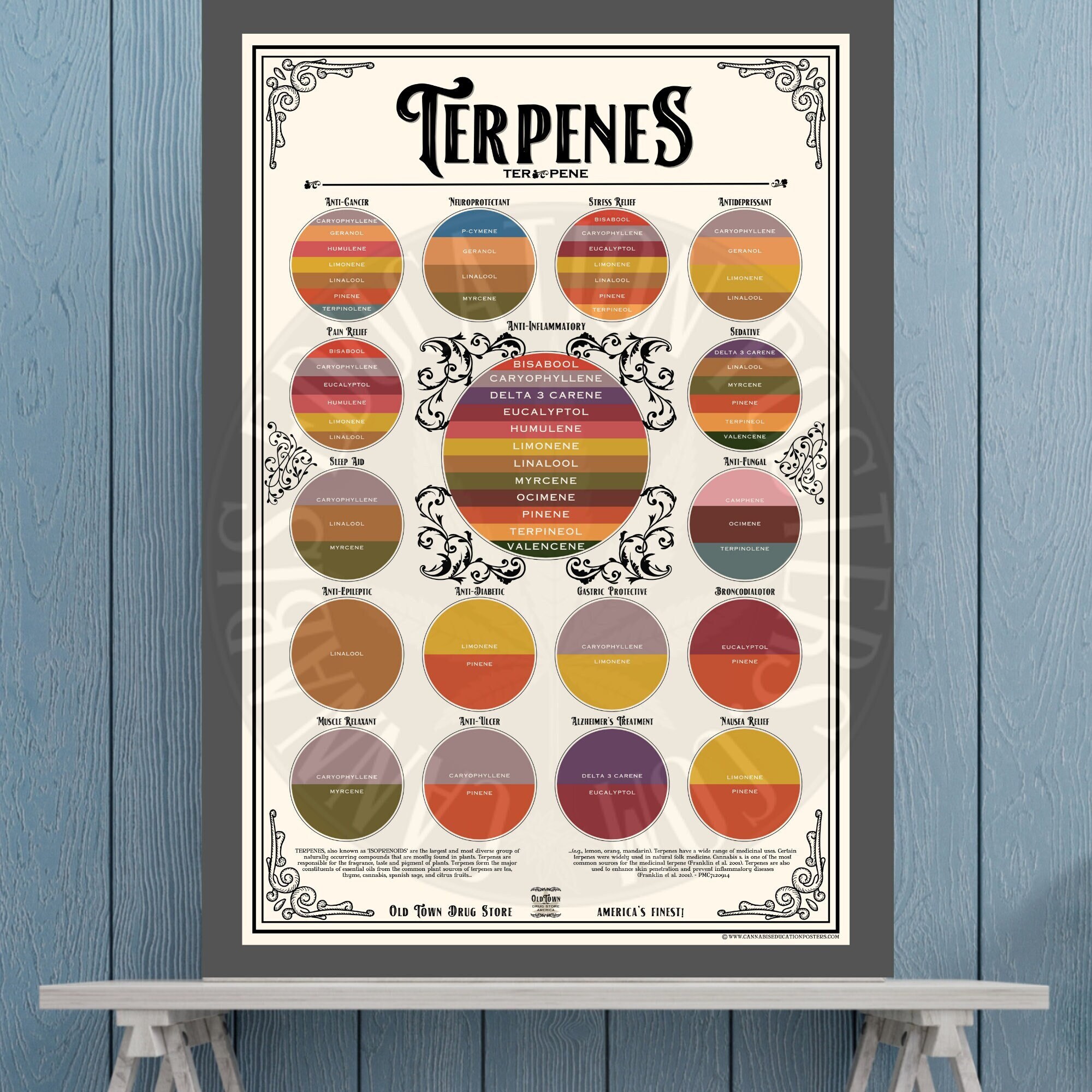 24 X 36 Inch Terpenes Cannabis Education Poster - Etsy