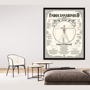 48 X 60 Inch Endocannabinoid System Cannabis Man Cannabis Education ...
