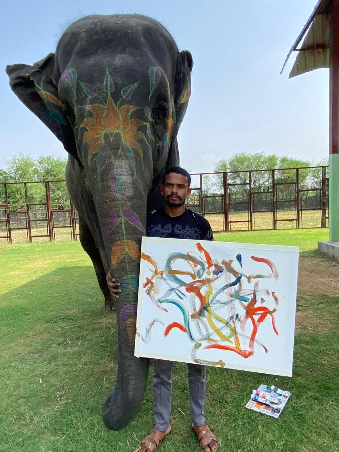 Large Elephant Painting by Pushpa the Elephant on 24X32 Canvas ...