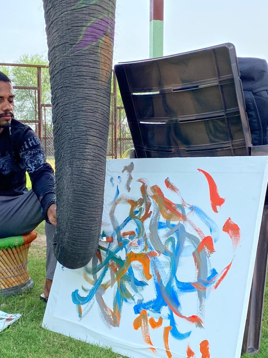 Large Elephant Painting by Pushpa the Elephant on 24X32 Canvas ...