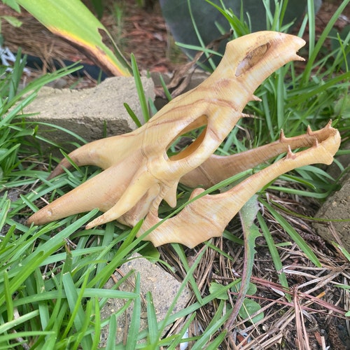 3D Printed Skyrim Dragon Skull Replica Small / Wall Mounted/ - Etsy