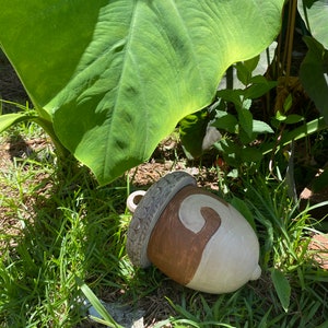 3D Printed Acorn Dice Holder Acorn Container Trinket Holder Mighty ...