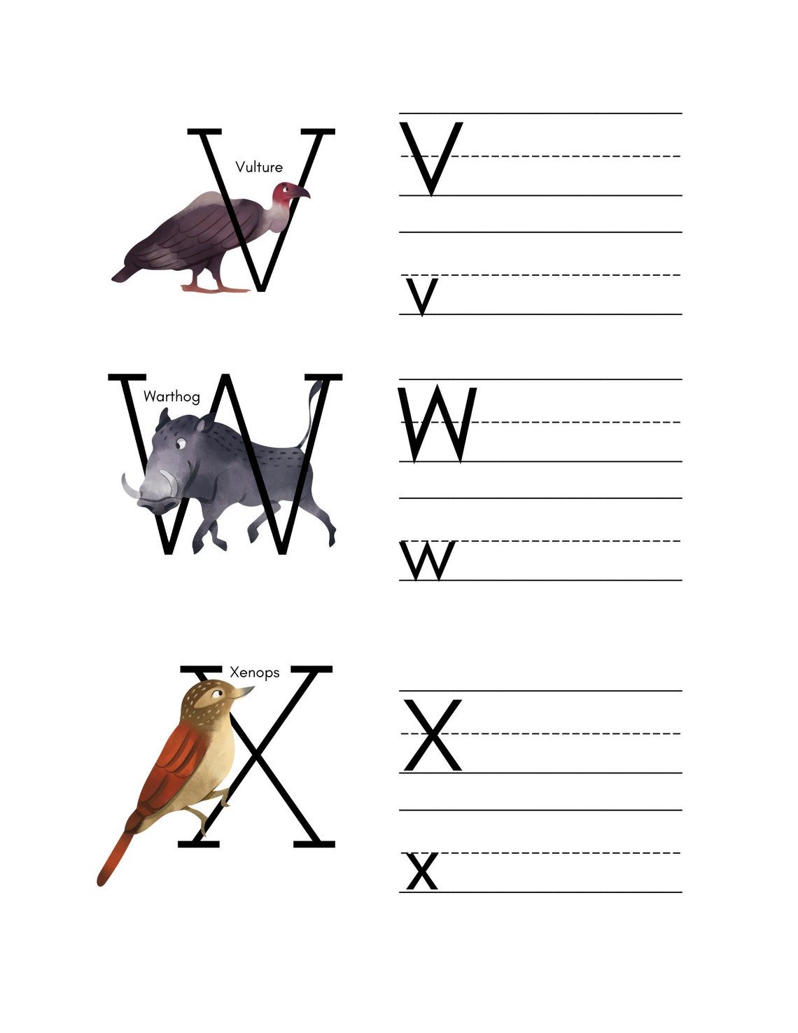 Fun Alphabet Practice Sheets Writing and Recognizing Letters ...