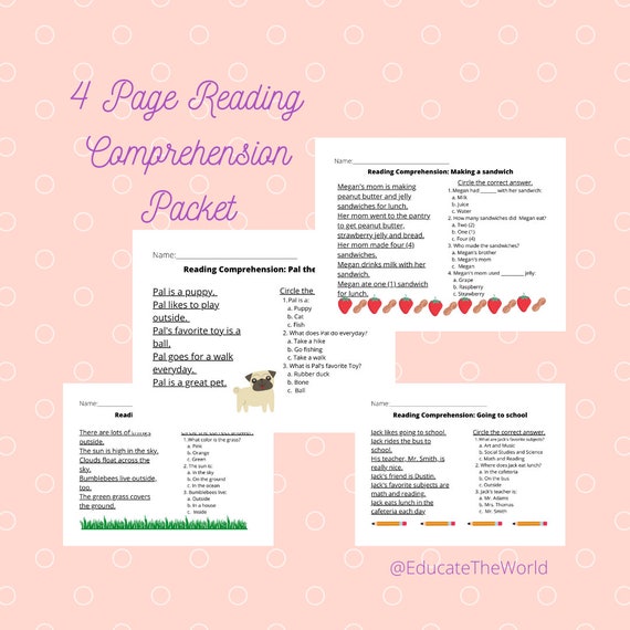 Reading Comprehension Packet Literature Worksheets At-home | Etsy