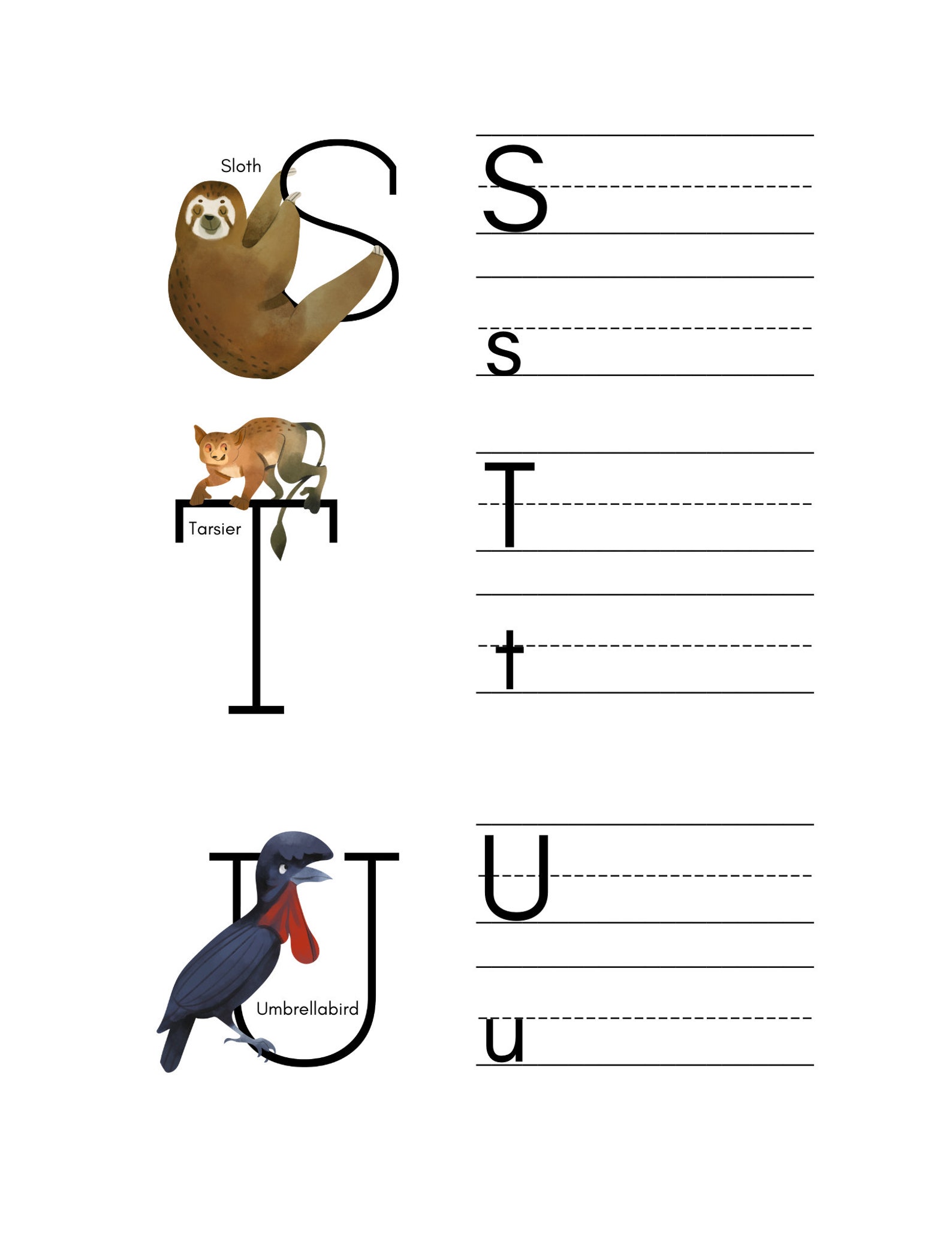 Fun Alphabet Practice Sheets Writing and Recognizing Letters ...