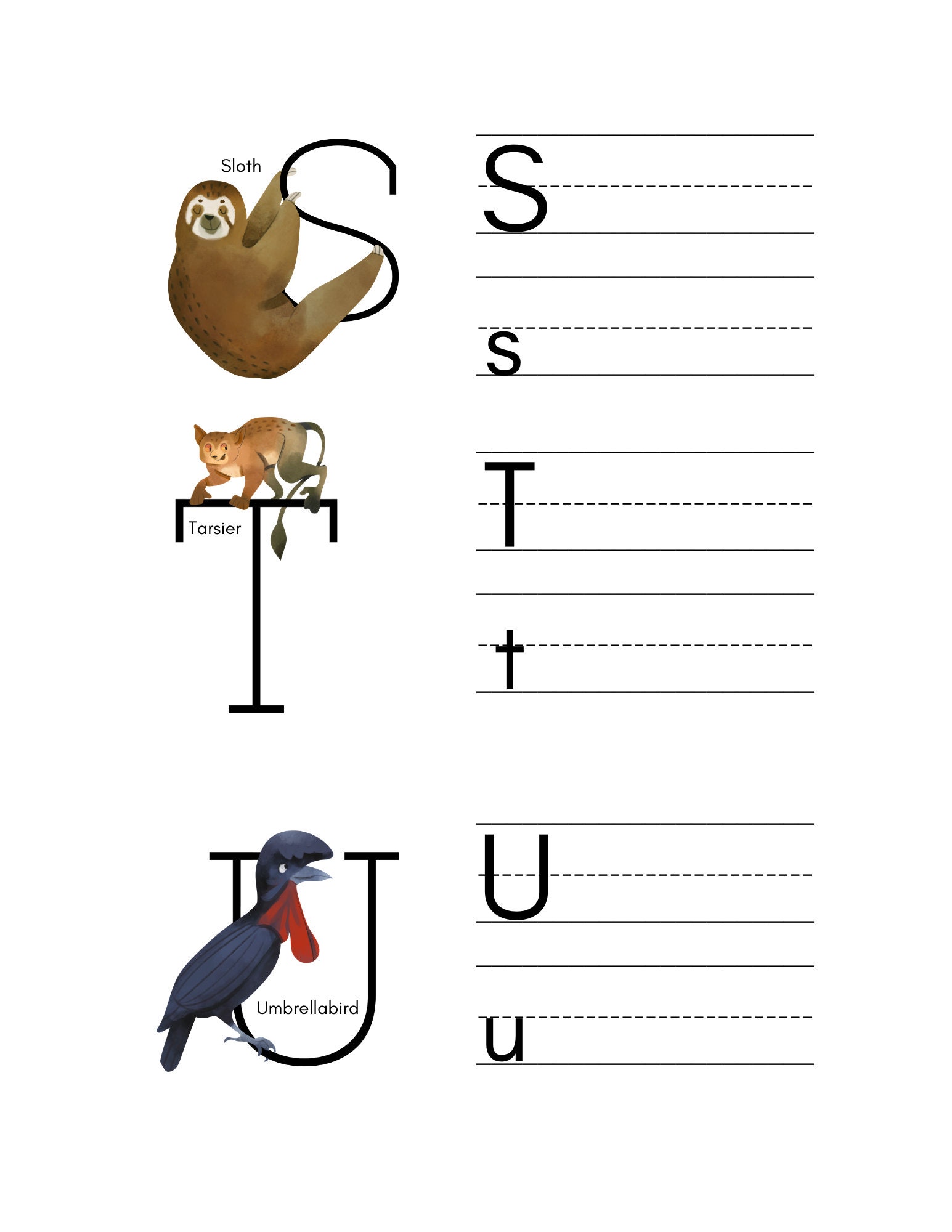 Fun Alphabet Practice Sheets Writing and Recognizing Letters ...