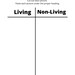 Science Worksheet Handout Set; At-home Learning; Practice Work; Virtual ...
