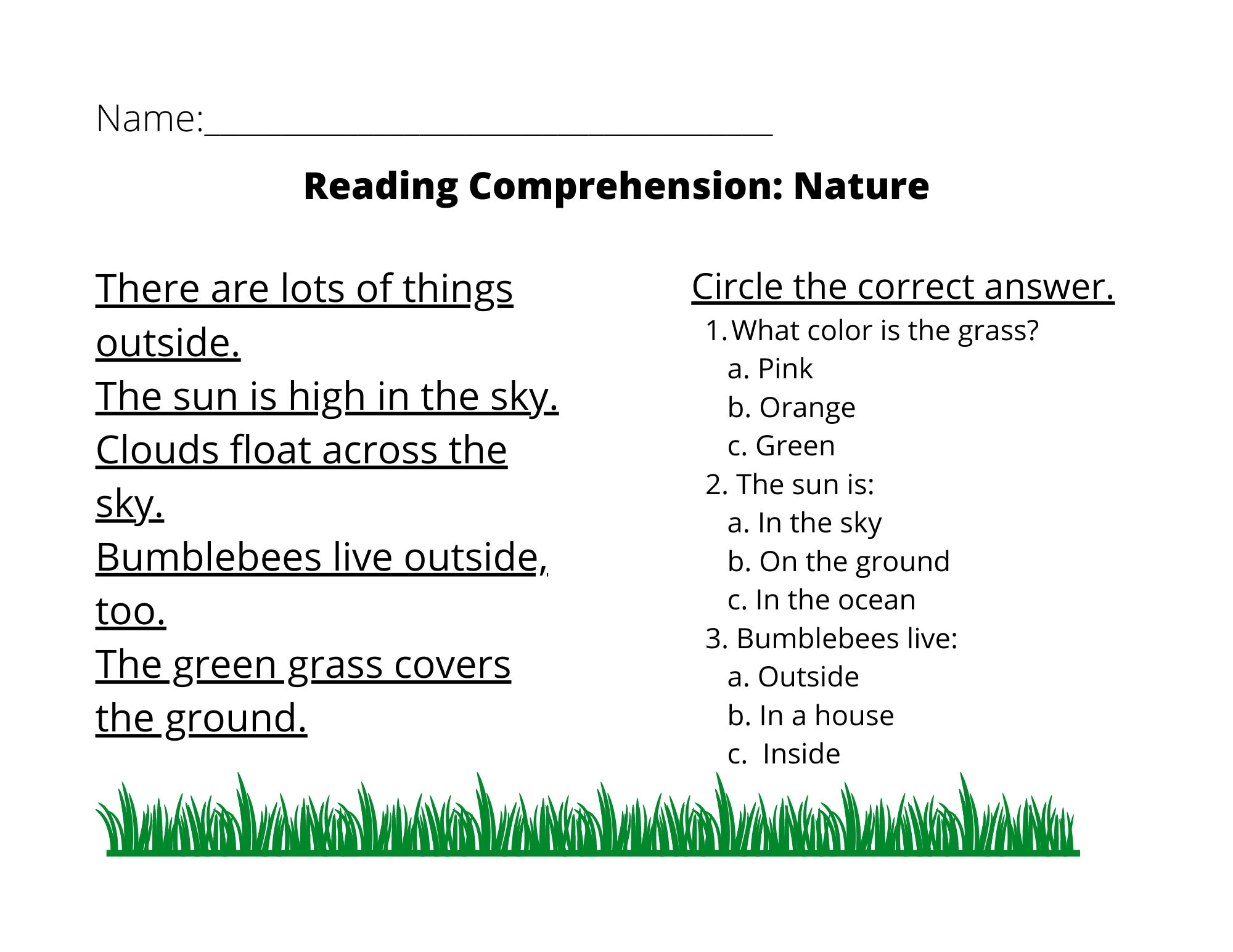 Reading Comprehension Packet; Literature Worksheets; At-home Learning ...