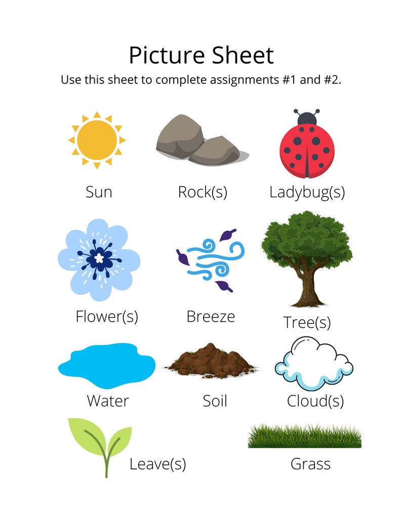 Science Worksheet Handout Set; At-home Learning; Practice Work; Virtual ...