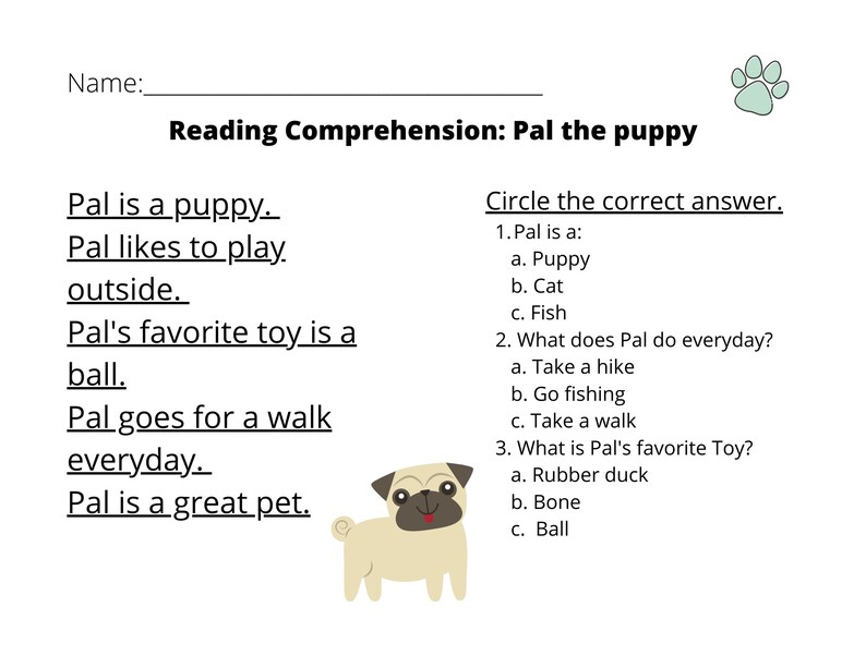 Reading Comprehension Packet; Literature Worksheets; At-home Learning ...