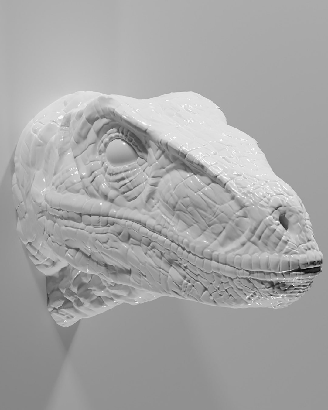 Decorative Raptor Head in White Taxidermy Style Raptor Head - Etsy