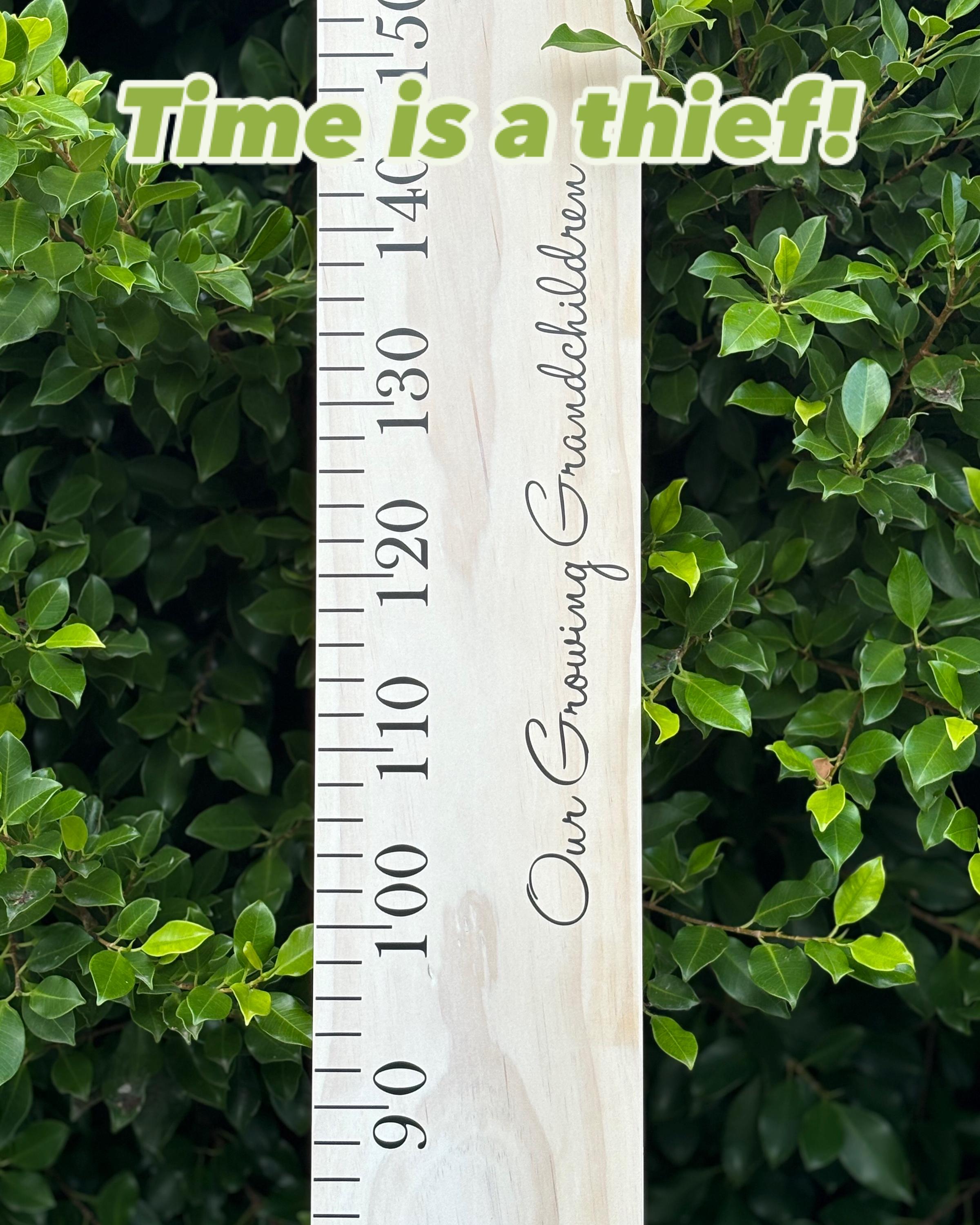 Digital File: Growth Chart SVG, PNG, Eps, Dxf, Ai, Height Chart, Growth ...