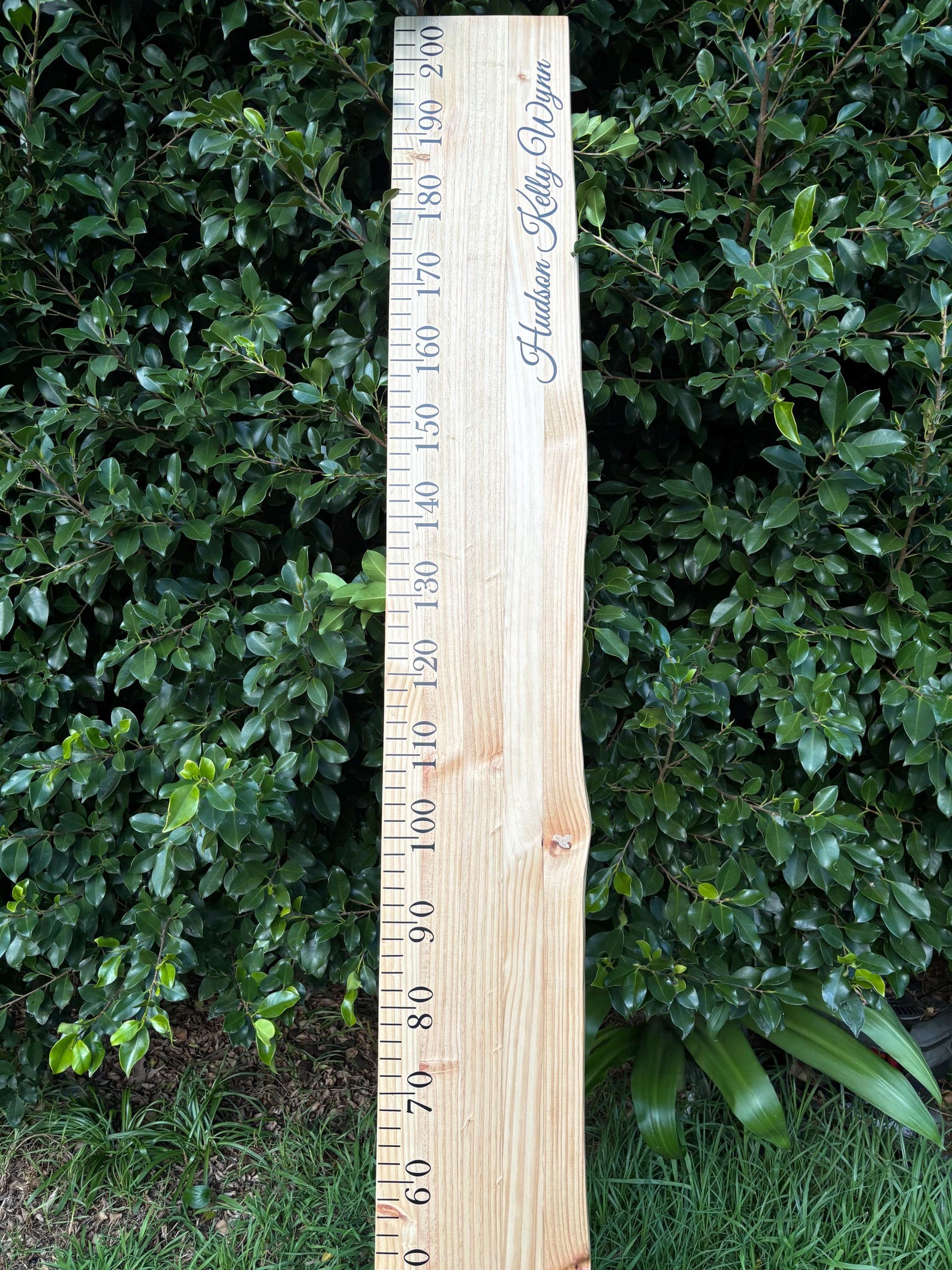 Digital File: Growth Chart SVG, PNG, Eps, Dxf, Ai, Height Chart, Growth ...